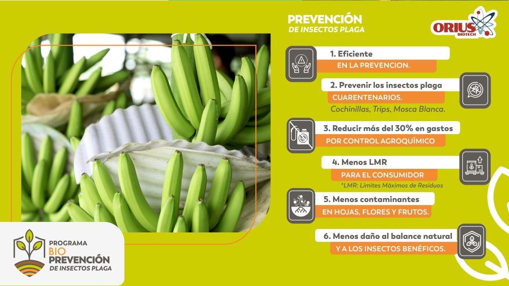 Bio prevencion – Agrocontrol